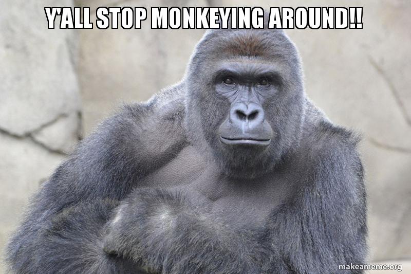 Y'all stop monkeying around!! Meme Generator