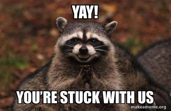 Yay! You’re stuck with us - Evil Plotting Raccoon Meme Generator