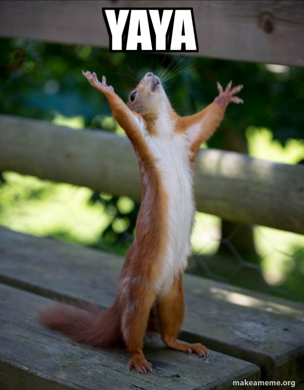 Yaya - Happy Squirrel Meme Generator