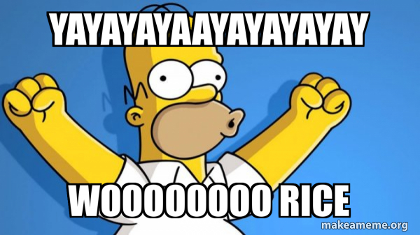 YAYAYAYAAYAYAYAYAY WOOOOOOOO RICE - Happy Homer Meme Generator