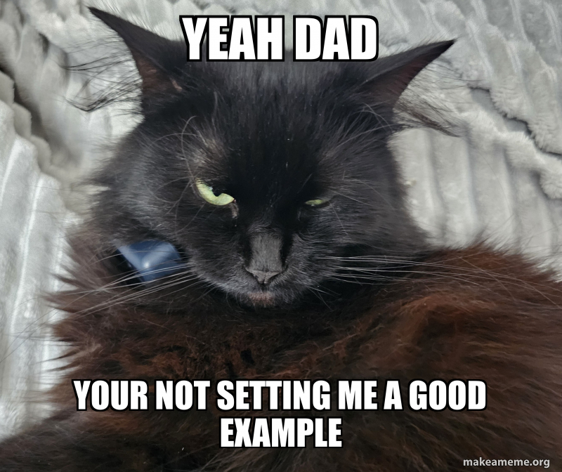 Yeah dad Your not setting me a good example Meme Generator