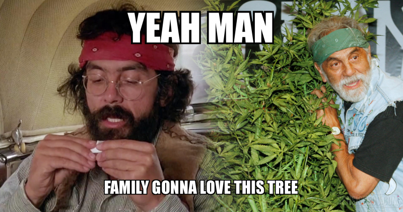 yeah man Family gonna love this tree Meme Generator