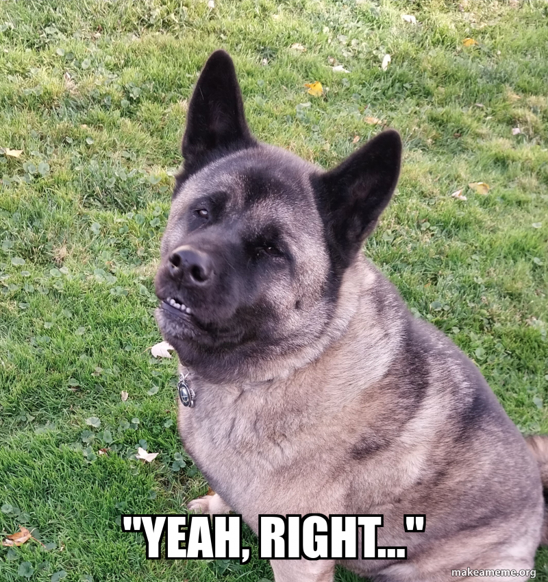 "Yeah, right..." Meme Generator