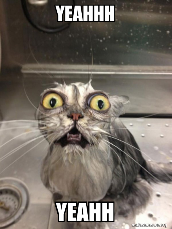yeahhh yeahh - Cat bath Meme Generator