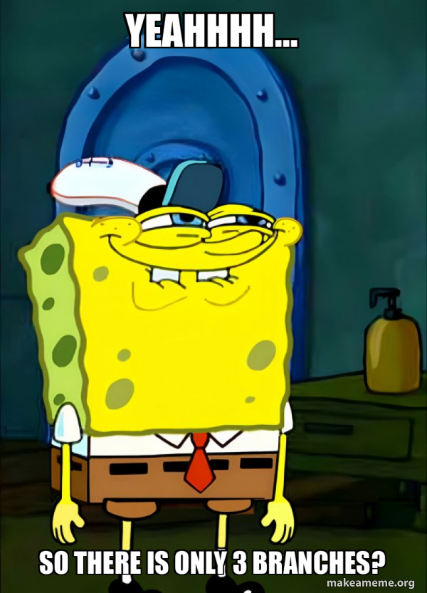 Yeahhhh... so there is only 3 branches? - SpongeBob Grin Meme Generator