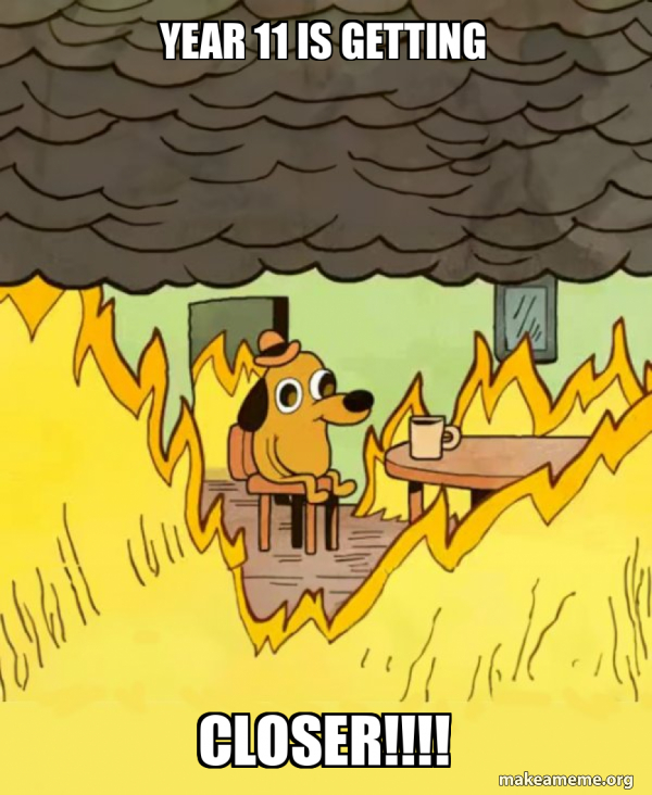 Year 11 is getting closer!!!! - This Is Fine Meme Generator