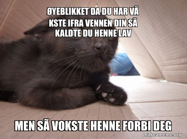 Øyeblikket da du har våkste ifra vennen din så kaldte du henne lav Men ...