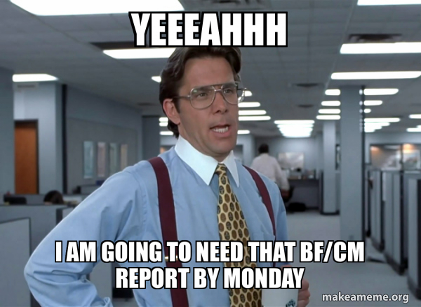 YEEEAHHH I am going to need that BF/CM report by Monday - That Would Be ...