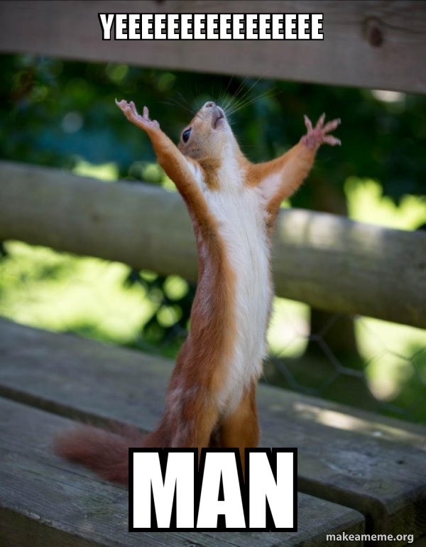 yeeeeeeeeeeeeeeee man - Happy Squirrel Meme Generator