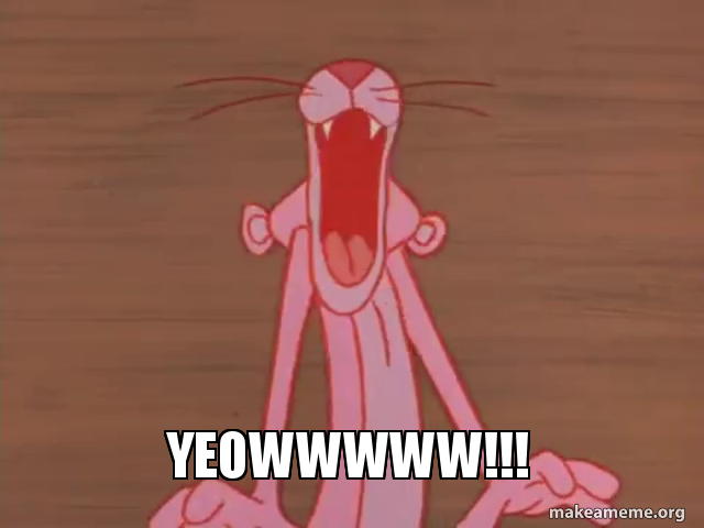 Yeowwwww!!! - Pink Panther Meme Generator