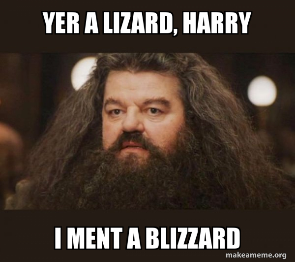 Yer a lizard, Harry I ment a Blizzard - Hagrid - I should not have said ...