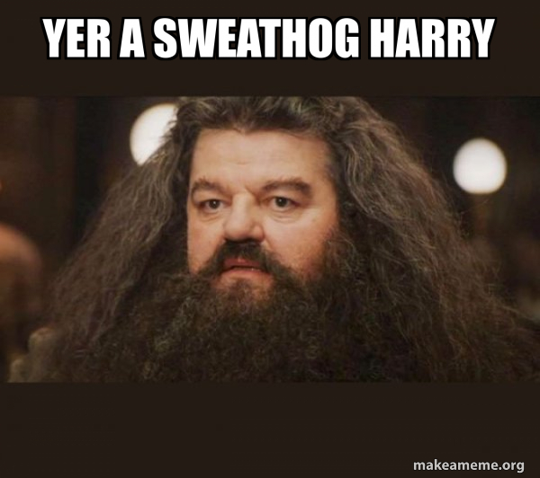 Yer a Sweathog Harry - Hagrid - I should not have said that Meme Generator