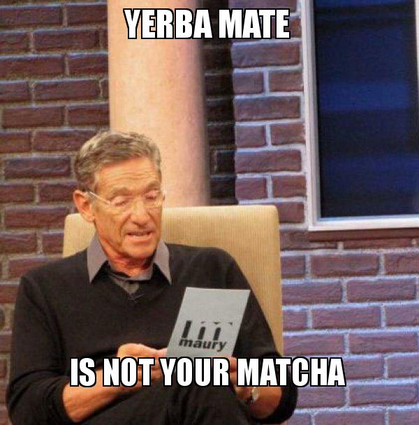 yerba mate is NOT your matcha - Maury Povich Lie Detector Test Meme ...