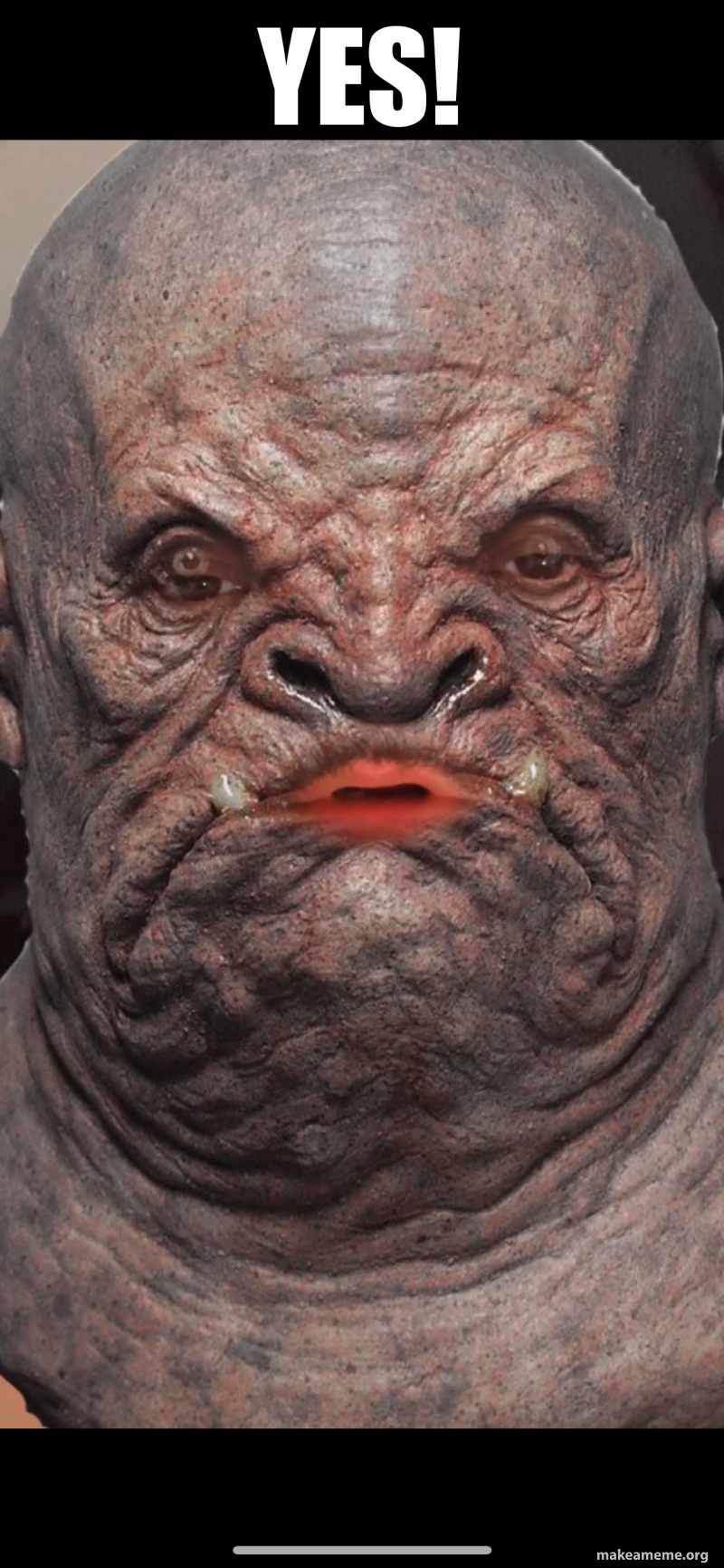 Yes! Meme Generator