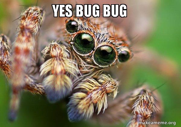 yes bug bug - Hipster Spider Meme Generator
