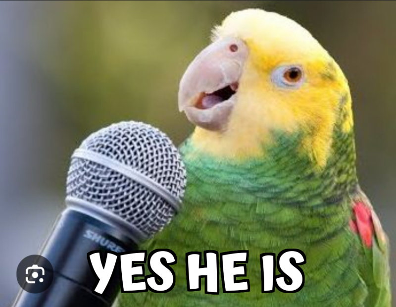 Yes he is Meme Generator