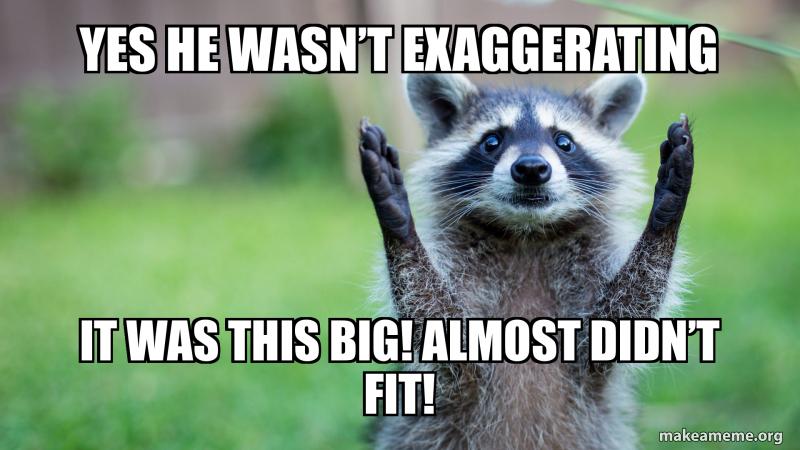 Yes he wasn’t EXAGGERATING It was this big! Almost didn’t fit! Meme ...