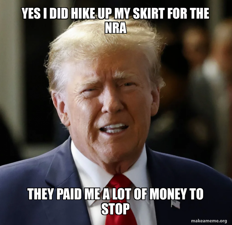 Yes I did hike up my skirt for the NRA They paid me a lot of money to ...