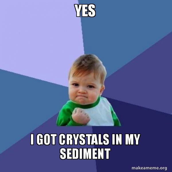 Success Baby Meme Yes