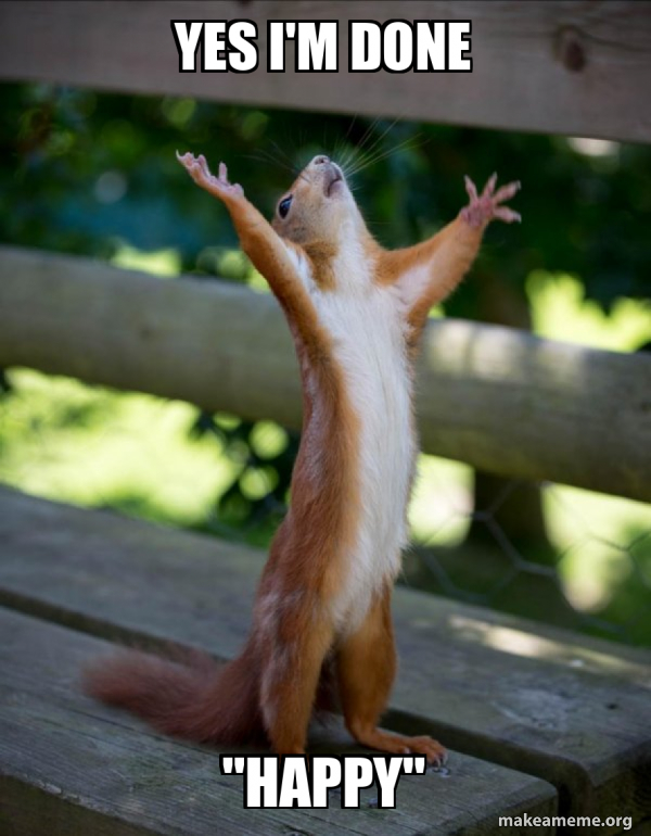 yes i'm done "happy" - Happy Squirrel Meme Generator