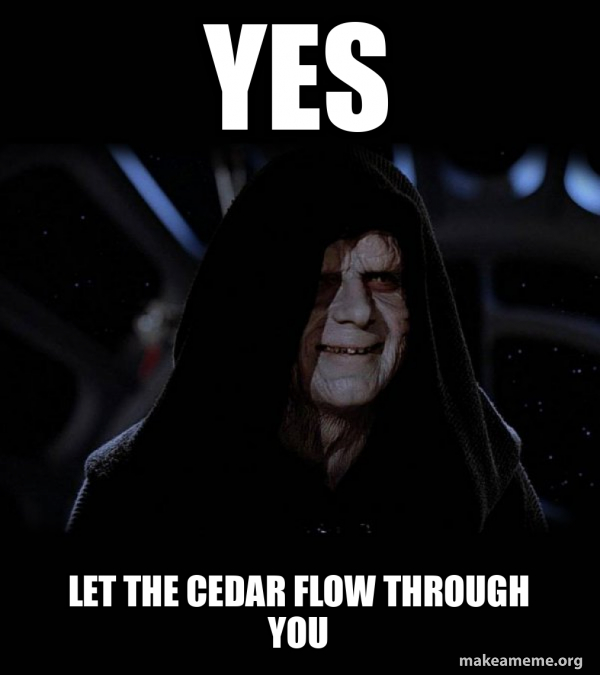 Yes Let the cedar flow through you - Sith Lord Meme Generator