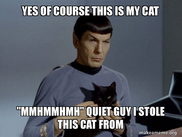 yes of course this is my cat "mmhmmhmh" quiet guy I stole this cat from ...