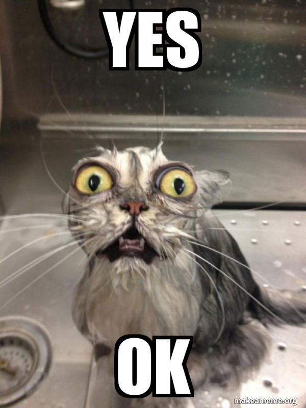 yes ok - Cat bath Meme Generator