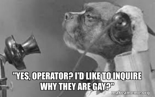 "YES, OPERATOR? I'D LIKE TO INQUIRE WHY THEY ARE GAY?" Meme Generator