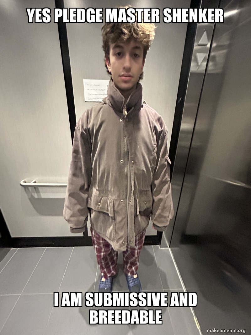 Yes pledge master shenker I am submissive and breedable | Make a Meme