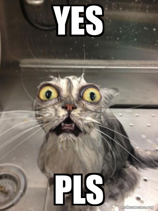 yes pls - Cat bath Meme Generator