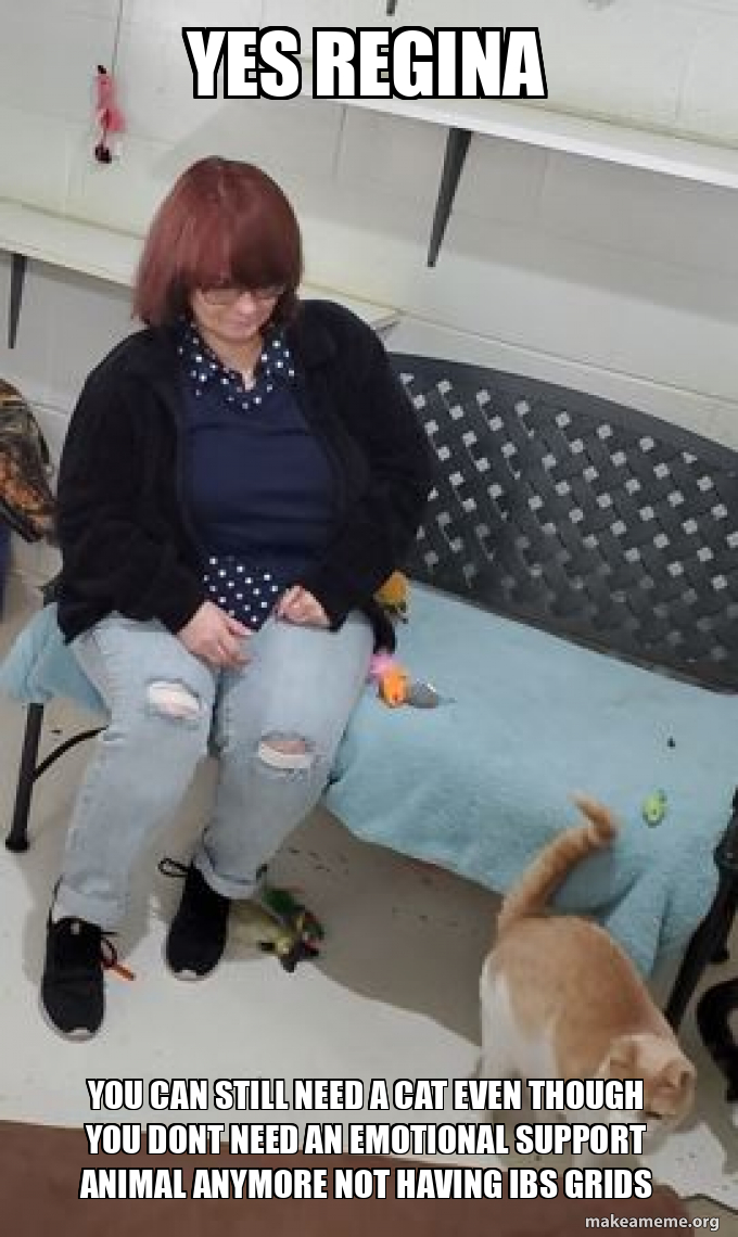 Yes Regina You can still need a cat even though you dont need an ...