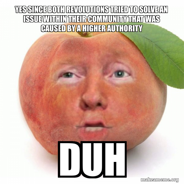 yes since both revolutions tried to solve an issue within their ...