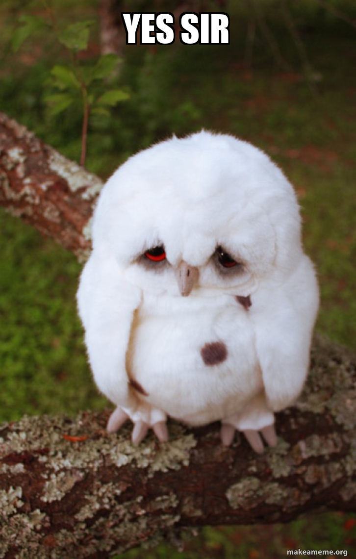 yes sir - Sad Owl Meme Generator