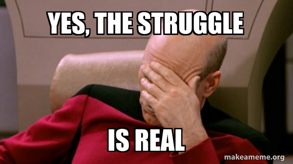 Yes, the struggle is real - Picard Facepalm Meme Generator