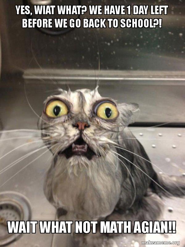 Yes, wiat what? we have 1 day left before we go back to school?! Wait ...