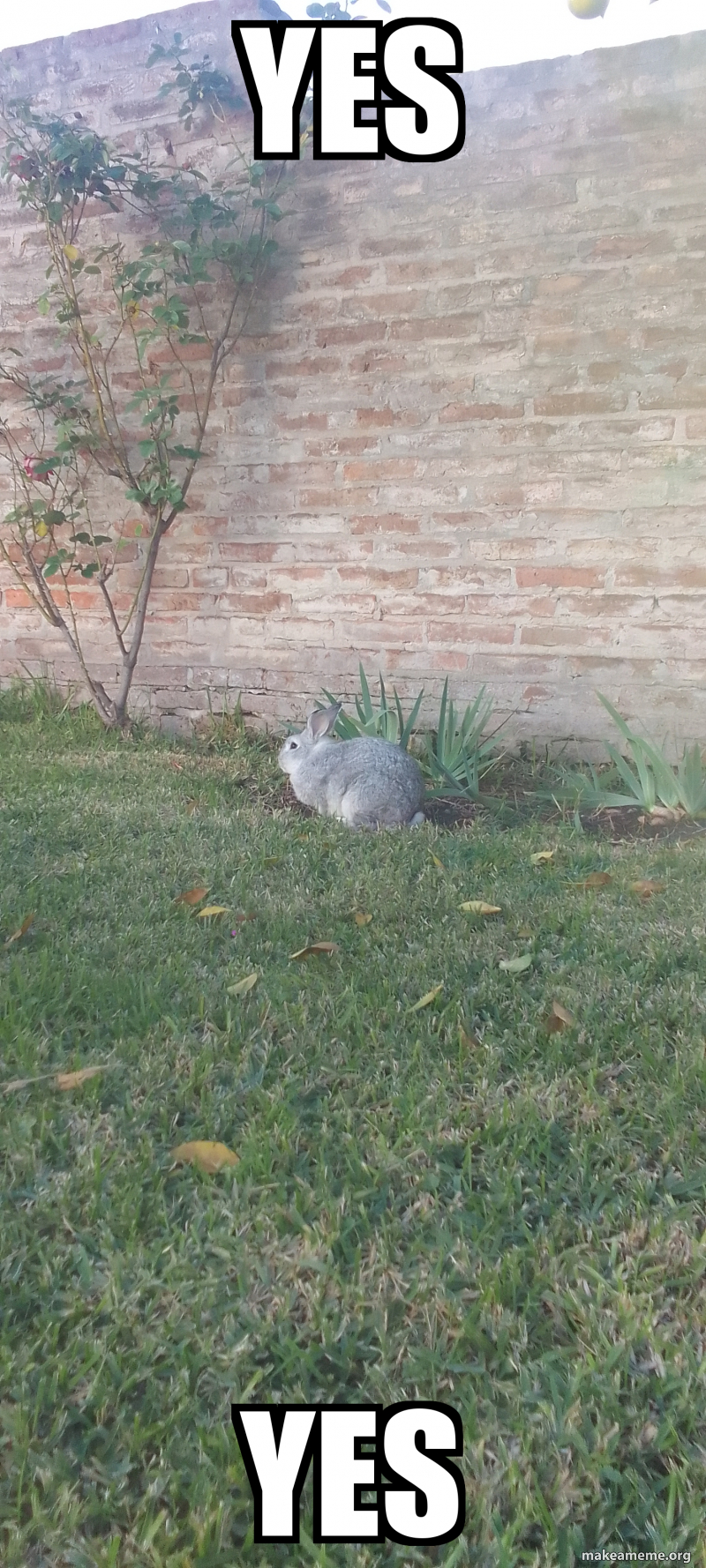 Yes Yes Meme Generator