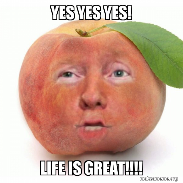 YES YES YES! LIFE IS GREAT!!!! - Impeached Donald Trump Meme Generator
