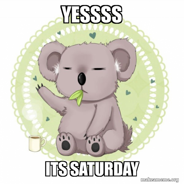 yessss its saturday - Aussie Koala doing the night shift Meme Generator