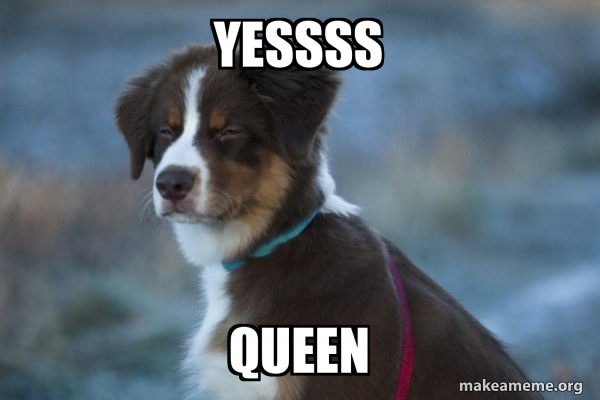 yessss queen - Unsure Dog Meme Generator
