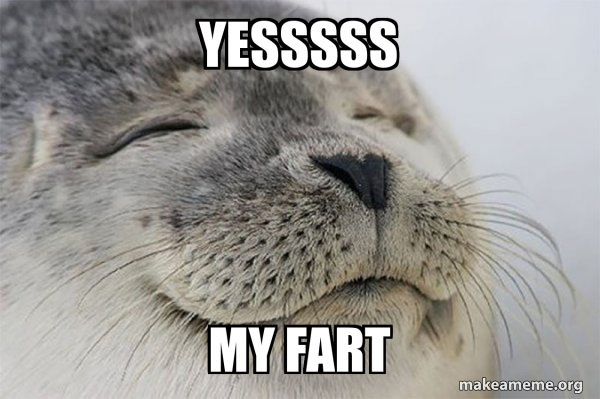 Yesssss My fart - Satisfied Seal Meme Generator