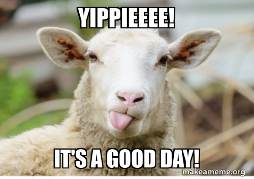 Yippieeee! It's a good Day! Meme Generator