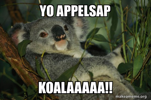 yo appelsap koalaaaaa!! - Laid Back Koala Meme Generator