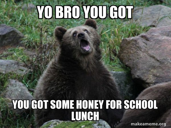 yo bro you got you got some honey for school lunch - Sarcastic Bear ...