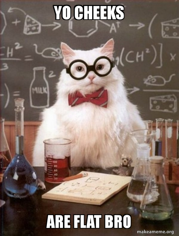 Yo cheeks Are flat bro - Chemistry Cat Meme Generator