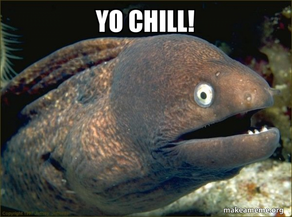 YO CHILL! - Bad Joke Eel Meme Generator