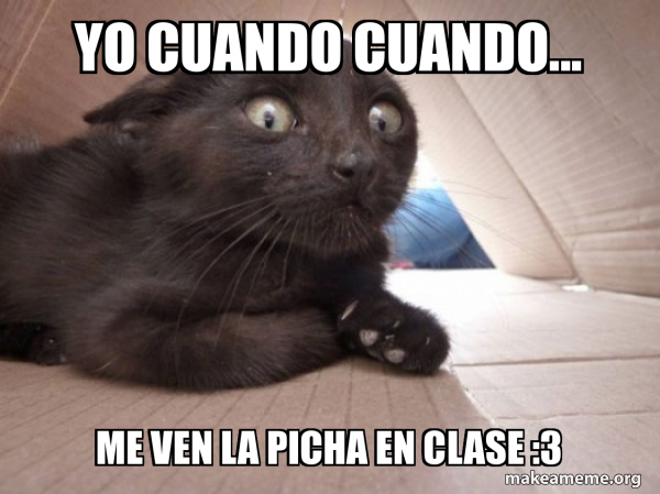 yo cuando cuando... me ven la picha en clase :3 - Schitzo Cat Meme ...