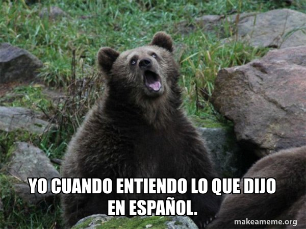 Yo cuando entiendo lo que dijo en español. - Sarcastic Bear Meme Generator