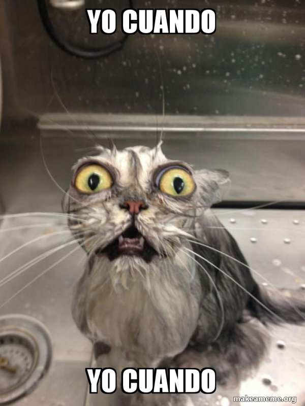 yo cuando yo cuando - Cat bath Meme Generator