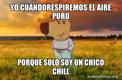 yo cuandorespiremos el aire puro POrQUE solo soy un chico chill Meme ...