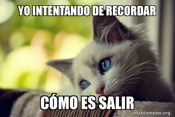 Yo intentando de recordar cÃ³mo es salir - First World Cat Problems ...